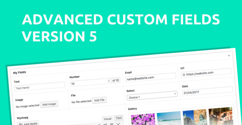 Acf 5 Improvements Across Performance Functionality And Usability Wp Hosting Wordpress